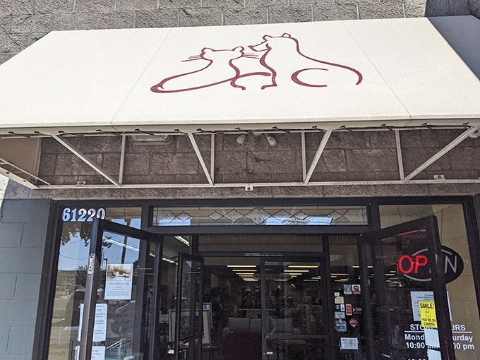 The unassuming exterior hides treasures that would make any bargain hunter's heart sing with joy.