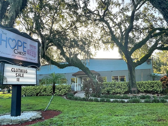 Oak trees stand guard like wise old sentinels over the pristine white building of The HOPE Chest, where bargain hunting feels like coming home.