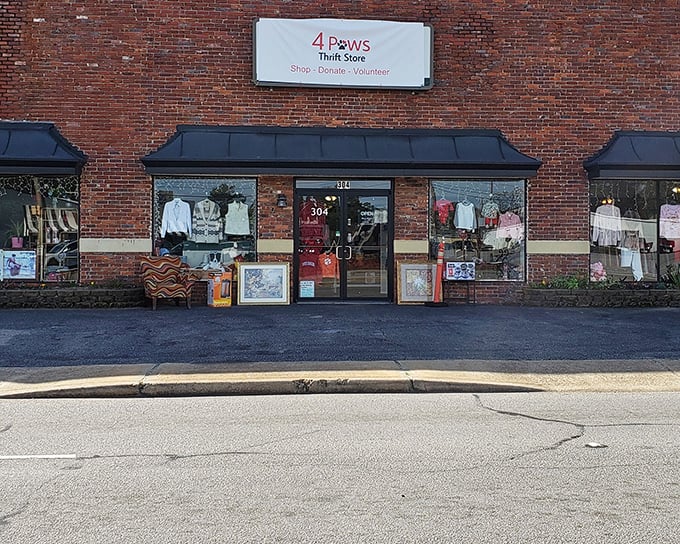 The unassuming brick exterior of 4 Paws Thrift Store, where colorful clothing displays hint at the treasure trove waiting inside. Like a thrifting tardis, it's bigger on the inside!