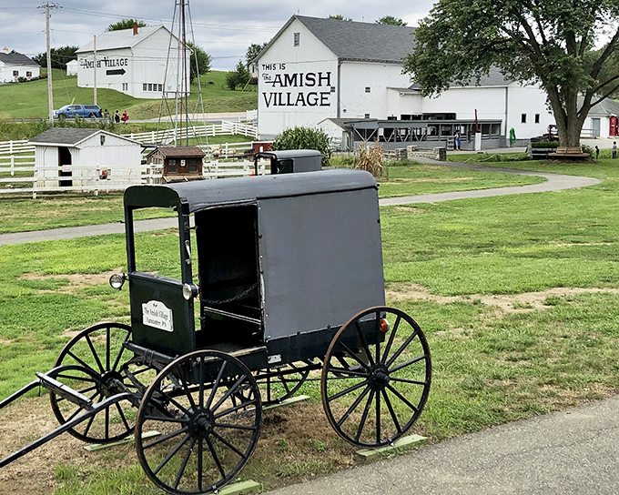 A glimpse of simpler times: The iconic Amish buggy sits ready for action against the backdrop of pristine white buildings and green pastures.