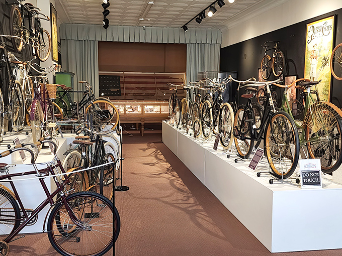 Rows of gleaming vintage bicycles stand at attention like a two-wheeled time machine. History you can almost ride, if not for those pesky "Do Not Touch" signs.