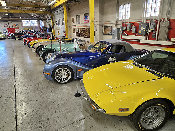 Classic beauties lined up like automotive royalty, each one whispering tales of America's golden highway era.