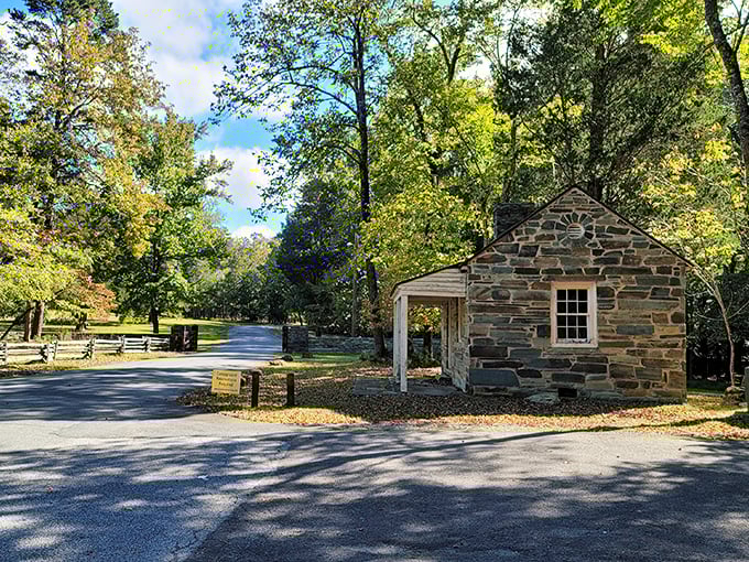 Fall's fiery palette transforms Morrow Mountain's winding roads into nature's red carpet. Who needs New England when North Carolina delivers this spectacular show?