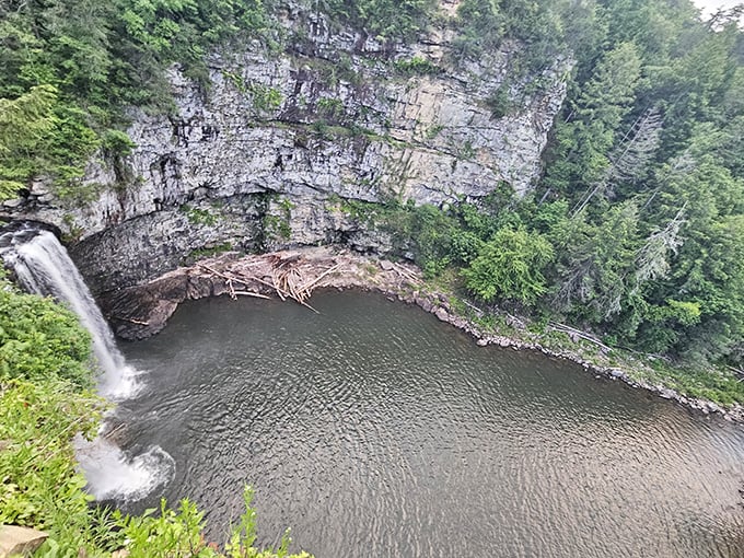 Nature's grand theater unfolds at Fall Creek Falls, where this breathtaking gorge view reminds you just how small your problems (and cell phone reception) really are.