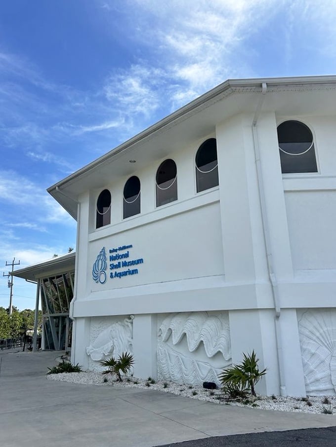 The Bailey-Matthews National Shell Museum stands like a gleaming pearl against Sanibel's blue sky, its distinctive architecture hinting at the treasures within.