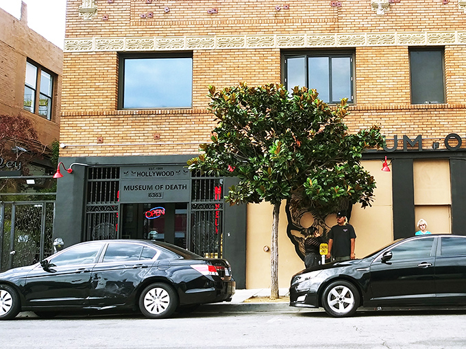The unassuming brick facade of Hollywood's Museum of Death gives little hint of the macabre collection waiting inside. Sunny California meets the ultimate dark tourism destination.