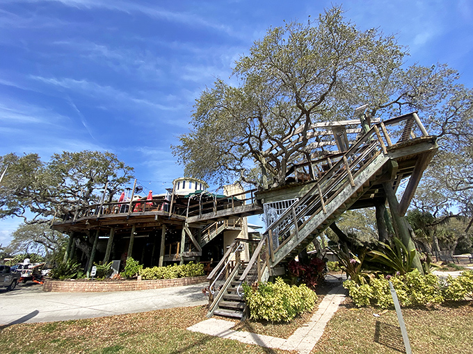 Where childhood dreams meet adult appetites! Norwood's treehouse structure rises majestically among ancient oaks, promising elevated dining in more ways than one.
