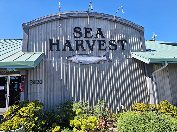 The corrugated metal exterior of Sea Harvest stands like a fisherman's secret hideout, complete with that iconic fish silhouette promising oceanic treasures within.