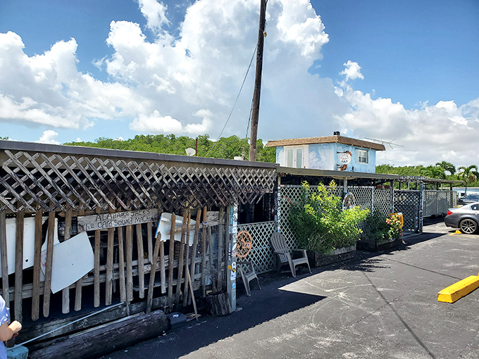 The unassuming entrance to Alabama Jack's looks like it was decorated by a pirate with a Home Depot gift card and a dream. Pure Florida magic awaits.