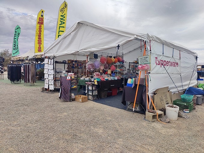 White tents stretching toward the horizon, colorful flags snapping in the desert breeze&mdash;Tyson Wells isn't just a market, it's a pop-up retail city.