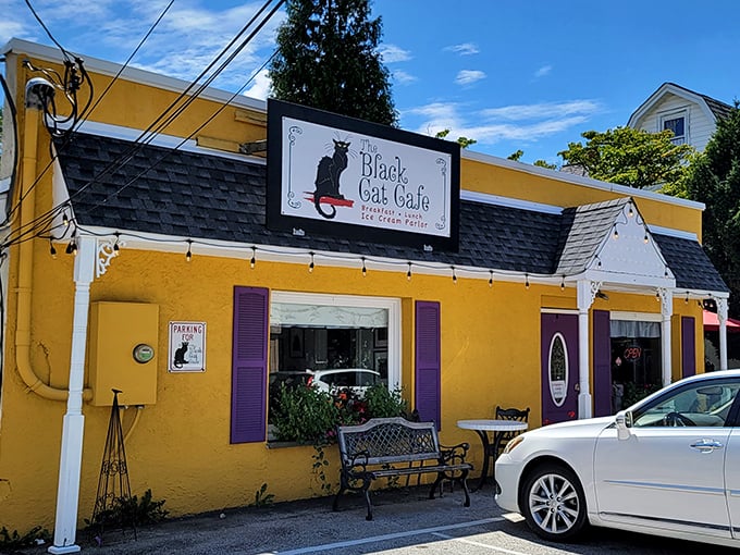 The sunshine-yellow exterior with purple accents makes The Black Cat Cafe impossible to miss, like a cheerful beacon for hungry travelers in Devon.