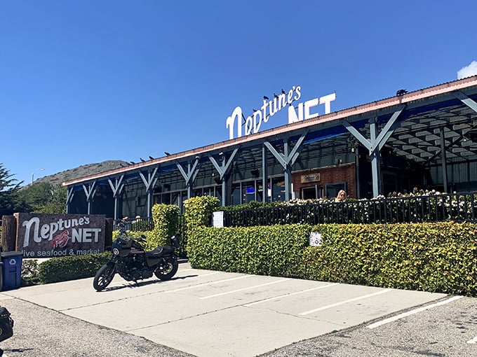 Neptune's Net stands proudly along PCH, a blue-trimmed beacon for hungry travelers and motorcycle enthusiasts alike. The California sun practically high-fives the iconic signage.