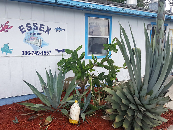Don't let the humble blue exterior fool you&mdash;Essex Seafood House in Pierson is like finding a treasure chest disguised as a toolshed.