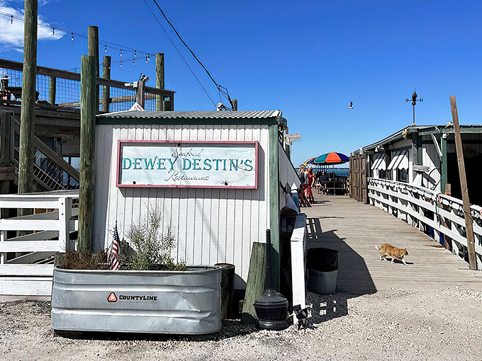The unassuming entrance to seafood paradise &ndash; where the best Florida restaurants often hide behind modest exteriors and weathered white clapboard.