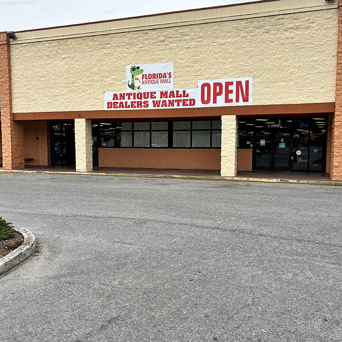 The unassuming storefront belies the treasure trove within. Like finding a secret portal to the past under Florida's brilliant blue skies.