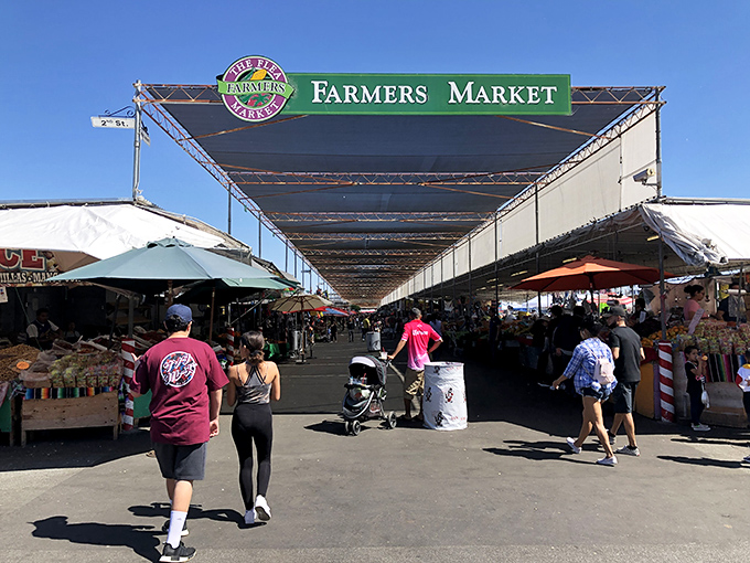 Welcome to bargain paradise! The San Jose Flea Market's covered walkways stretch seemingly to infinity, promising treasures at every turn.