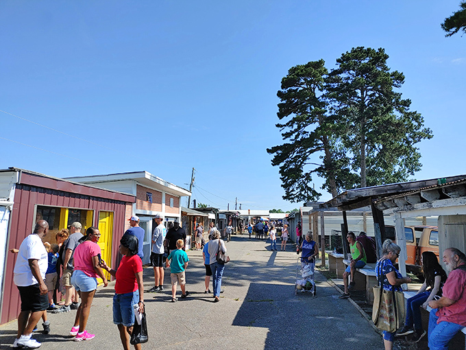 The bustling indoor corridors of Anderson Jockey Lot, where treasure hunters navigate a maze of possibilities every weekend.