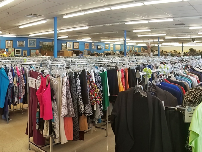 The unassuming storefront that holds more treasures than a pirate's chest – and better parking too.