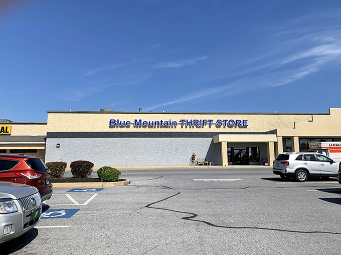 The unassuming exterior of Blue Mountain Thrift Store hides a treasure trove that would make Indiana Jones rethink his career path.