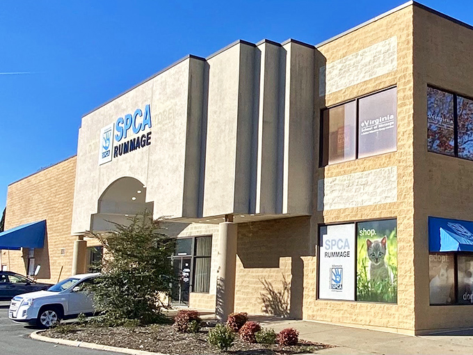 The tan fortress of frugality stands proud under Virginia's blue sky, promising treasures within its unassuming walls.
