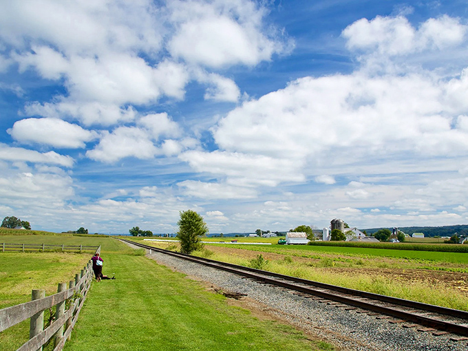Amish country unfolds like a patchwork quilt—fields of gold, green, and amber stretching toward rolling hills, with classic white barns standing sentinel under impossibly blue skies.