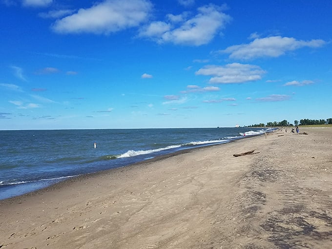 Miles of golden sand stretch along Lake Erie's shore, proving Ohio can deliver coastal vibes without the coastal price tag.