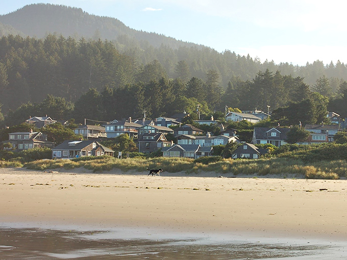 Beach homes nestled between forest and sand, where Manzanita's magic happens. Nature didn't just design this view&mdash;it showed off.