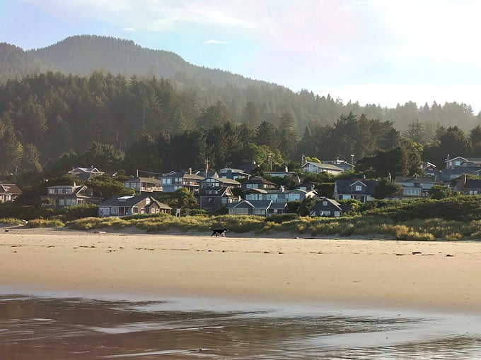 Coastal homes nestled between forest and sand, where Manzanita's charm is on full display. Mother Nature couldn't have designed a more perfect beach town setting.