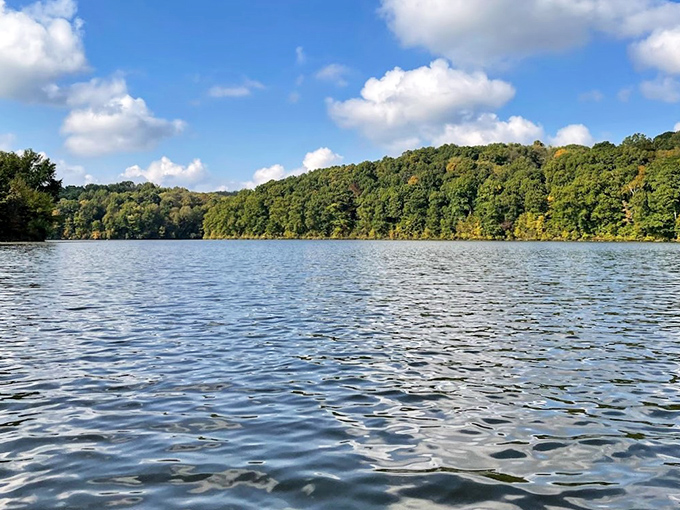Mirror-like waters reflect Ohio's hidden masterpiece. Salt Fork Lake's tranquil surface invites you to forget your inbox exists and remember what vacation feels like.