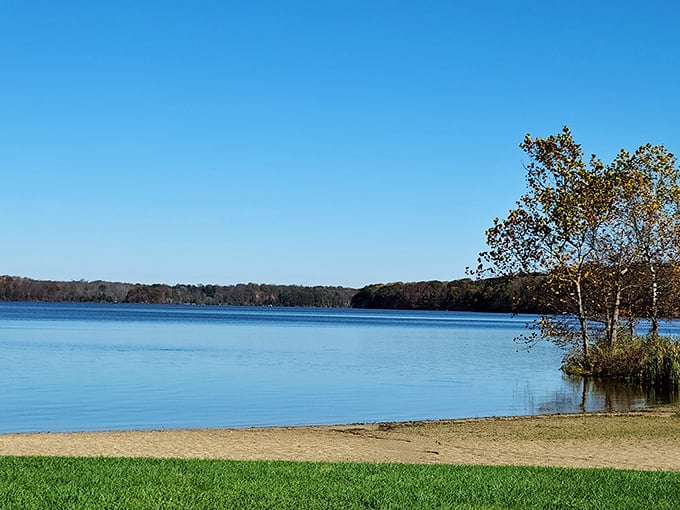 Morning perfection at Rocky Fork Lake, where the sun doesn't just rise—it puts on a show worthy of a standing ovation.
