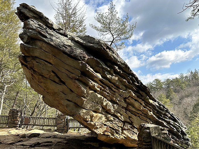 Nature's architecture on full display. The rugged sandstone cliffs of Trough Creek create dramatic backdrops that make amateur photographers look like professionals.