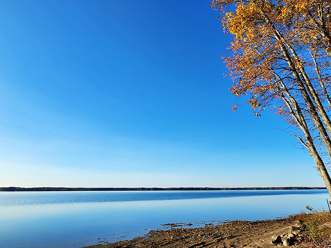 Mirror-like waters stretch to the horizon under an impossibly blue sky, with autumn's golden touch adding a perfect splash of color. Nature showing off its best side.