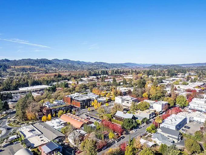 Healdsburg stretches out beneath a perfect California sky, where vineyards meet small-town charm in a landscape that practically begs you to slow down.