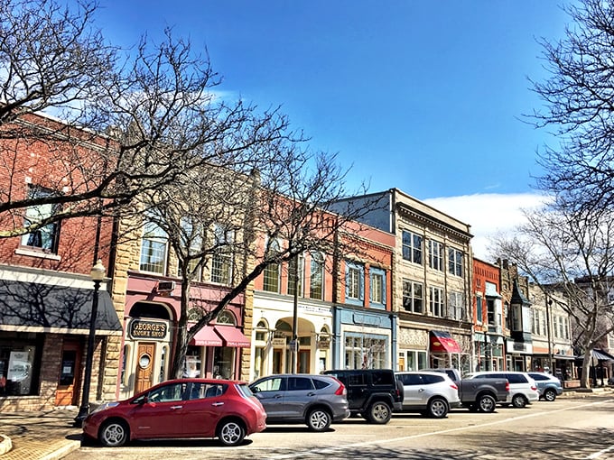 Holland's tree-lined neighborhoods showcase that perfect blend of Midwestern charm and Dutch influence. Like finding Europe without the jet lag!