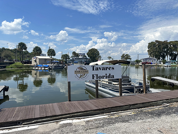 Where boats and appetites dock with equal enthusiasm. Lake Eustis provides the perfect backdrop for seafood that tastes like Florida sunshine.