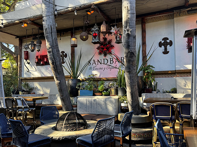 Palm trees frame the entrance to Sandbar like nature's own welcome committee, where colorful lanterns dangle like tropical fruit waiting to be picked.
