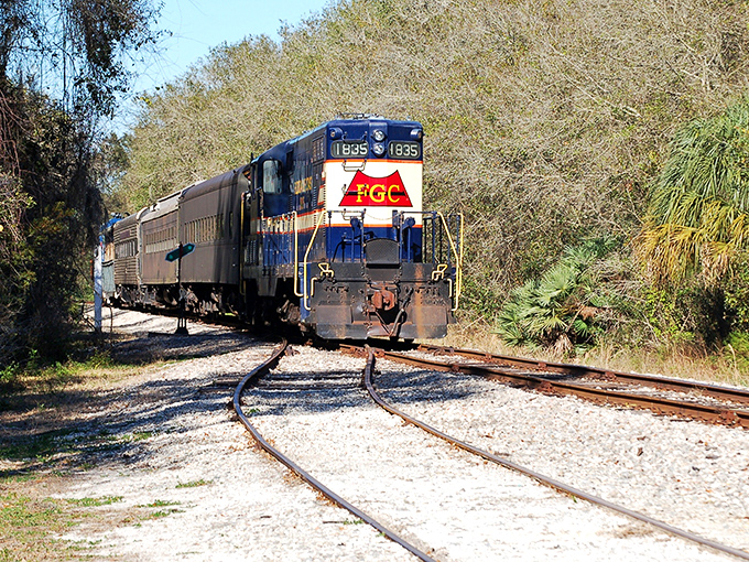 The mighty locomotive cuts through Florida's lush landscape, a blue and red time machine on wheels ready to transport visitors to railroading's golden age.