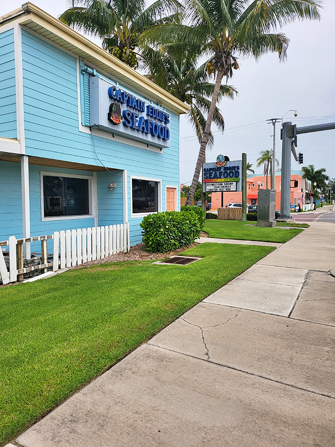 The cheerful blue exterior of Captain Eddie's stands like a tropical oasis in Nokomis, promising seafood treasures that locals have treasured for years.