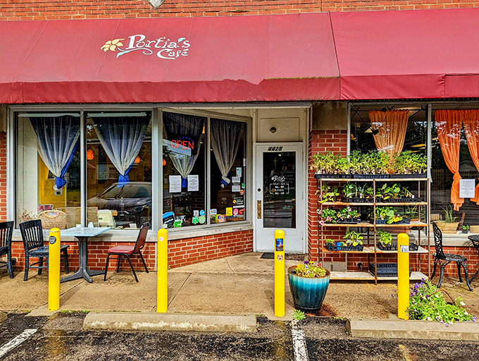 Portia's signature red awning beckons like a culinary lighthouse on an otherwise unassuming Columbus street. Prepare to be transformed!