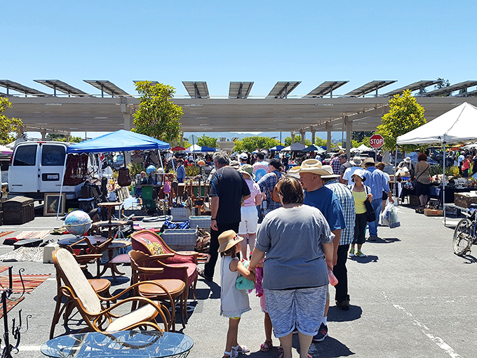 Solar panels provide welcome shade as treasure hunters navigate the bustling aisles. Who knew sustainable energy and vintage furniture shopping could make such perfect partners?