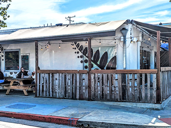 Tangaroa's humble exterior belies the seafood paradise within &ndash; like finding out your quiet neighbor is secretly a rockstar chef.