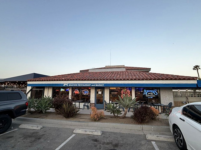 Andria's unassuming exterior proves that the best treasures often come in simple packages.