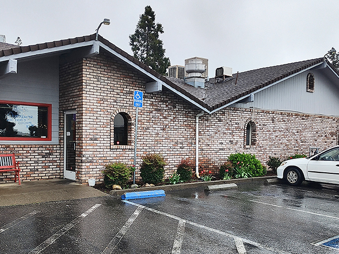 The stone facade and modest signage of Cozy Diner might fool you, but locals know this Paradise landmark holds culinary treasures worth the journey.