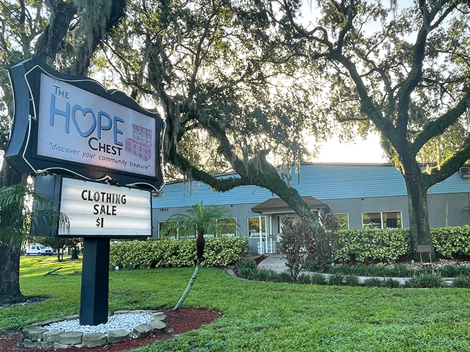 Sunshine dapples through Spanish moss onto The HOPE Chest's inviting entrance. Like finding a $20 bill in last year's winter coat&mdash;unexpected joy awaits inside.