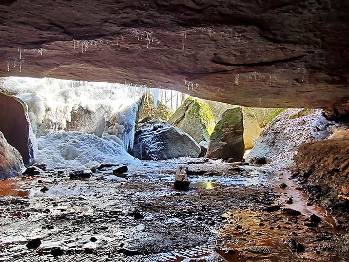 Winter transforms Devil's Icebox into a frozen wonderland. Nature's ice sculptures hang from ancient sandstone, creating a magical underground gallery worth the chilly trek.