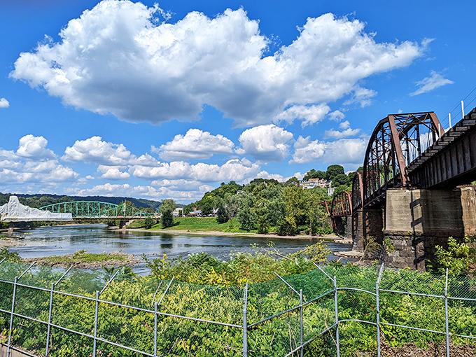 The iconic red bridge creates a perfect postcard moment. Nature's frame for your next profile picture, no filter needed.