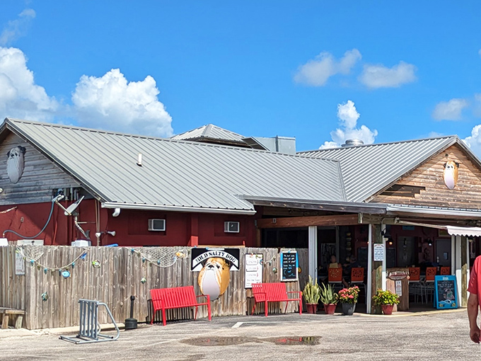 The weathered wooden exterior of The Old Salty Dog stands like a salty sea captain against Florida's brilliant blue sky, promising authentic maritime flavors inside.