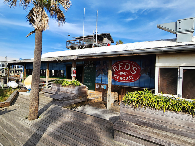 Weathered wooden decks and swaying palms welcome you to Red's Ice House, where coastal charm meets seafood paradise on Shem Creek.