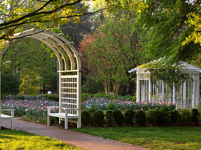 The historic Bloemendaal House stands as a testament to the garden's rich past, its stately presence enhanced by a magnificent golden ginkgo tree.