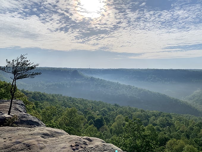 Morning mist weaves through the Cumberland Plateau valleys like nature's own special effect. The view that makes you forget your phone exists.
